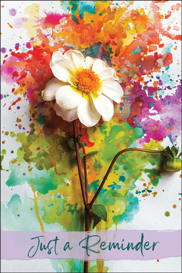 Fall Reminder Postcards (DAISYSPLAT) | Purchase Reminder Postcards for ...